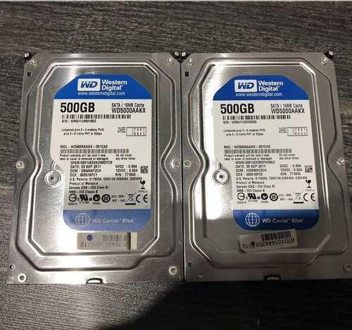 Жесткий диск western digital 500 gb