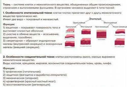 Конспект огэ биология