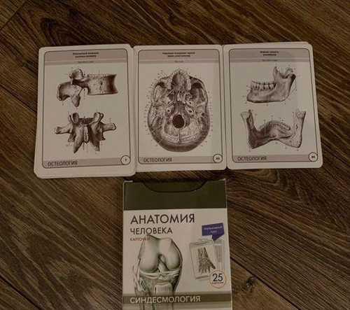 Карточки по анатомии