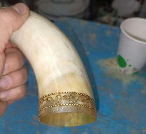 Рог быка