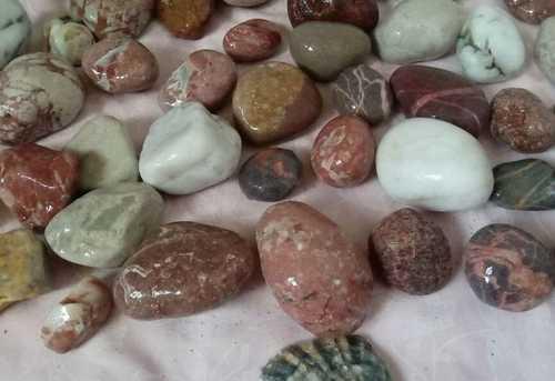 Набор разных морских камней