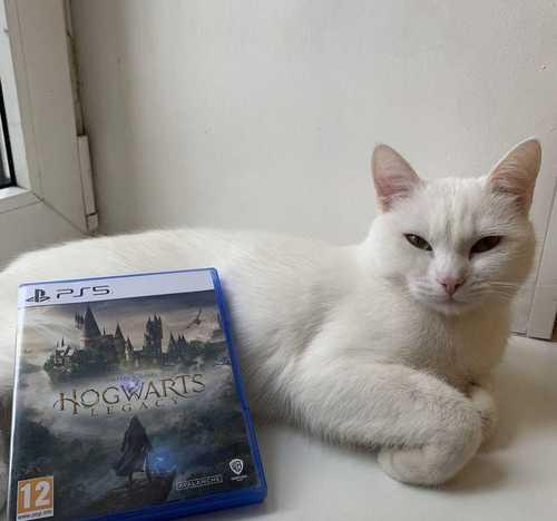 Игра Hogwarts Legacy для PS5 (диск)