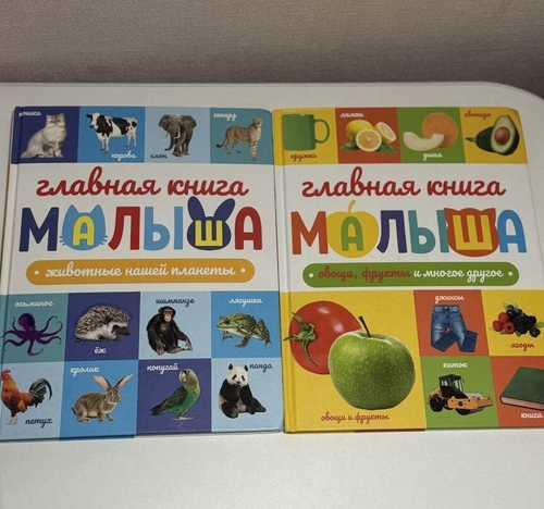 Главная книга малыша