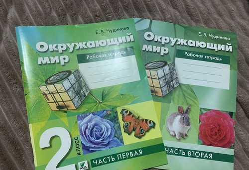 Раб. тетради по Окружающему миру Чудинова 2 кл