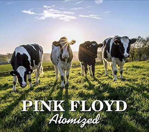 Виниловая пластинка Pink Floyd - Atomized (John Pe