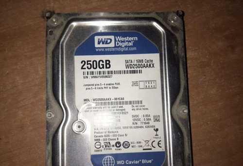 Жесткий диск WD 250gb