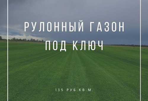 Рулонный газон под ключ