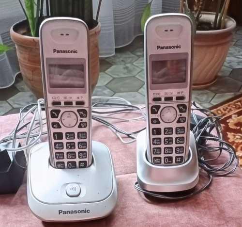 Panasonic