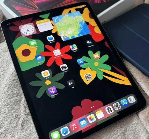 iPad Pro 11 2021 m1 256gb WiFi   Sim