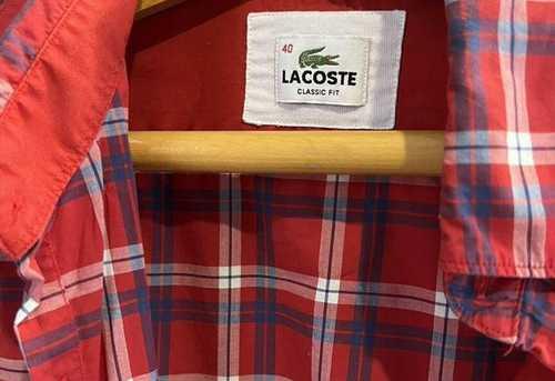 Рубашка мужская Lacoste