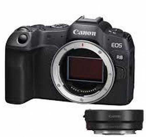 Canon EOS R8 Body   EF-EOS R адаптер