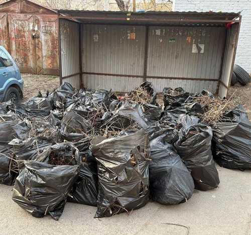 Дрова, хворост. Фруктовое дерево, абрикос