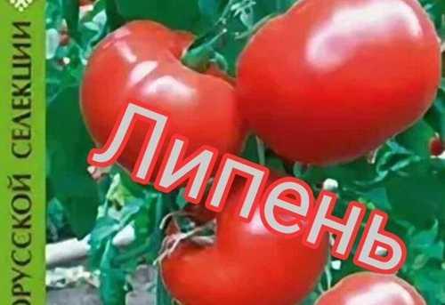 Семена томатов Беларуси,зелень для подоконника