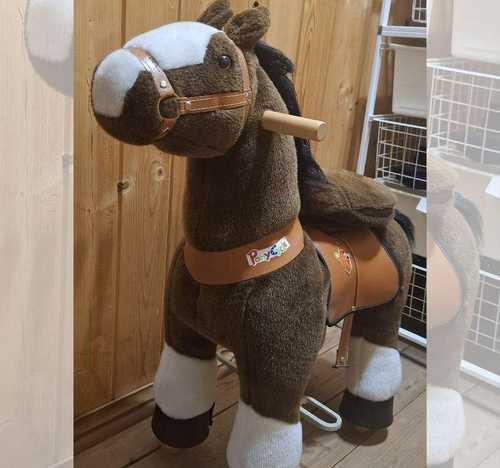 PonyCycle поницикл