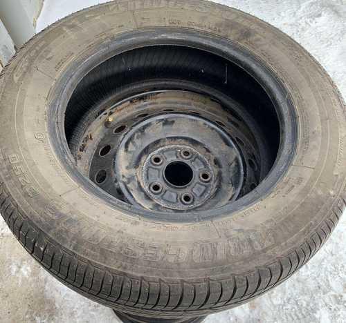 Bridgestone B250 175/70 R14