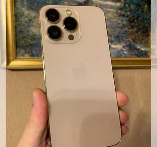 iPhone 13 Pro, 256 ГБ