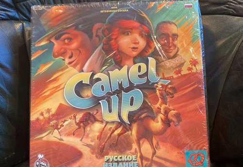 Camel Up настольная игра