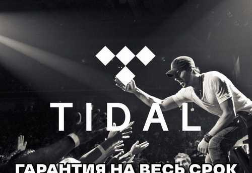 Tidal (Master) Hi-Fi Plus бессрочно