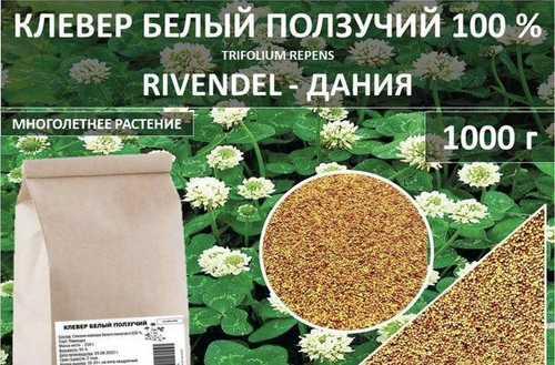 Клевер белый DLF rivendel (ривендел)