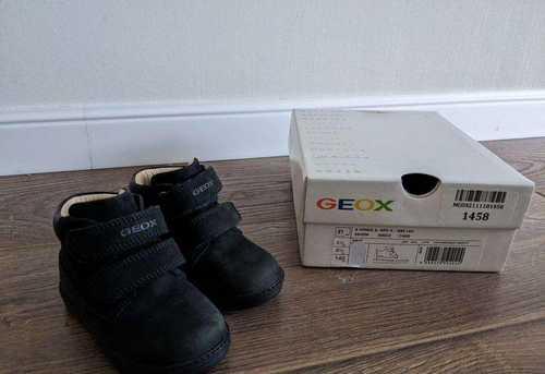 Демисезонные ботинки Geox B hynde boy wpf 21размер