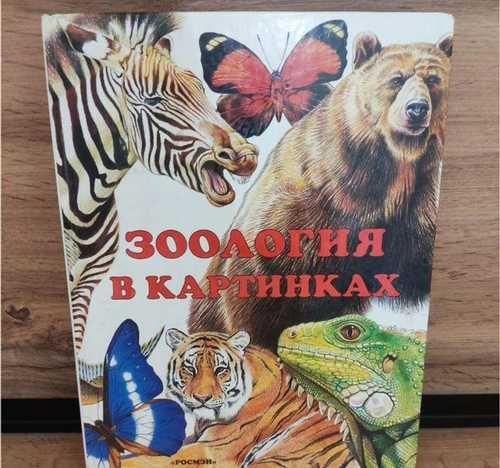 Зоология в картинках книга о животных