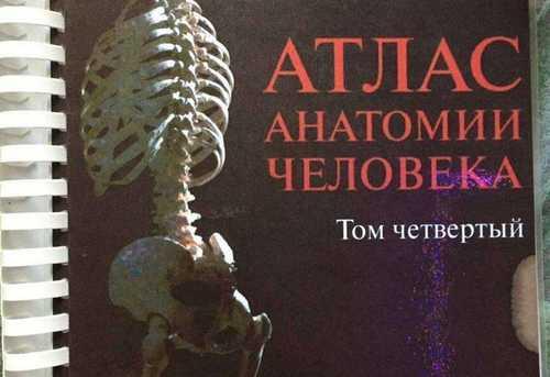 Атлас Анатомии Человека 4 том(Р.Д.Синельников)