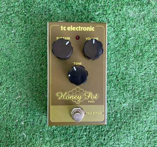 TC electronic honey pot fuzz