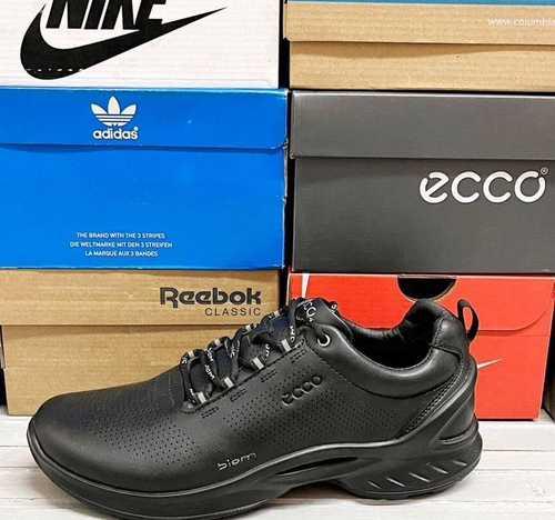 Кроссовки Ecco Biom