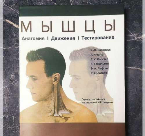 Мышцы. Анатомия. Движения. Тестирование