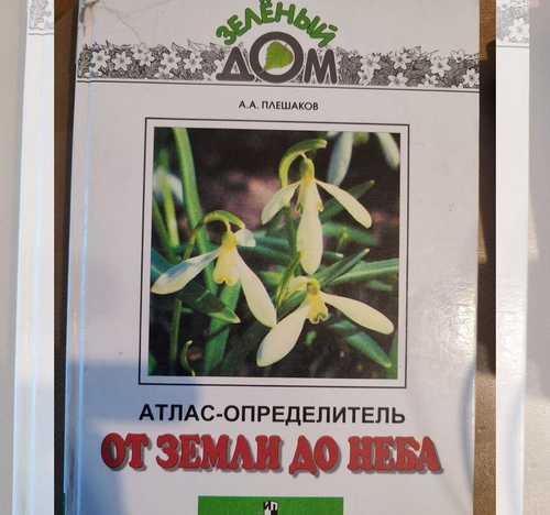 Атлас определить От земли до неба
