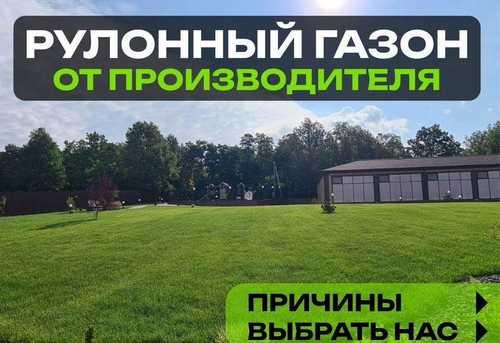 Рулонный газон Элитный. От производителя
