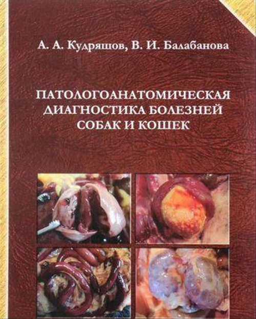 Патологоанатомическая анатомия собак и кошек