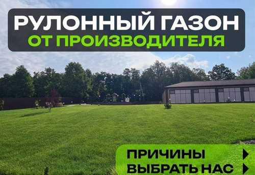 Рулонный газон Спорт. От производителя