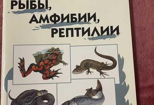 Книга для начальной школы
