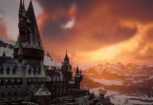 Hogwarts Legacy PS4/PS5 Гатчина