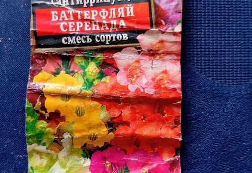 Рассада львиный зев