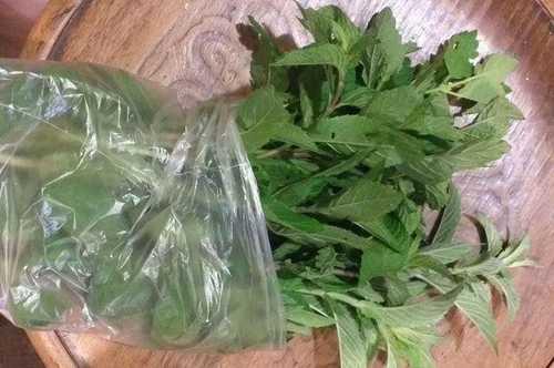 Мята, мелисса для чая