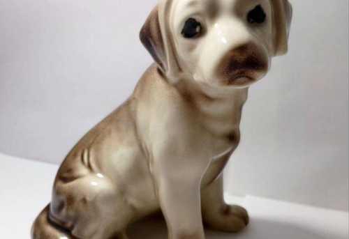 Фарфоровая статуэтка собачка щенок