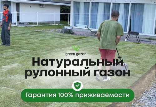 Рулонный газон универсальный