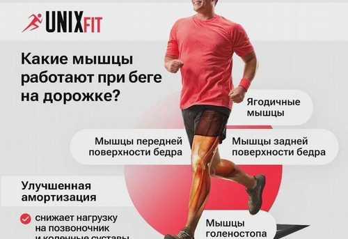 Новые беговые дорожки на любой бюджет