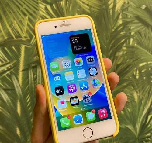 iPhone 8, 256 ГБ