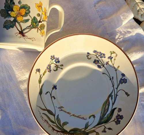 Кофейная пара Villeroy&Boch Botanica Chelidonium Majus