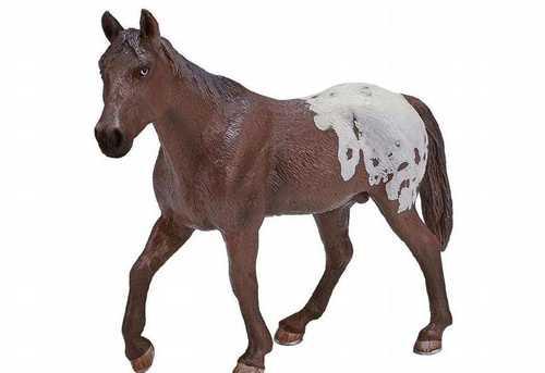 Аппалузский гнед лошадь 387150