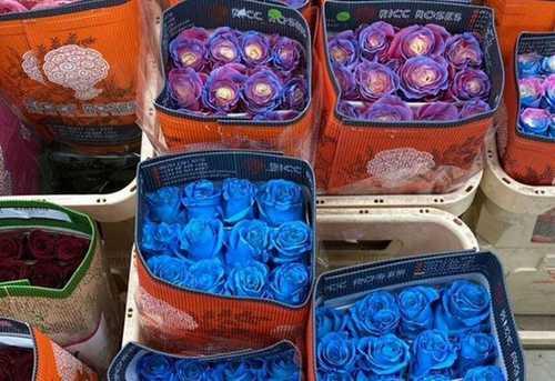 Синие розы, голубые розы, фиолетовые розы