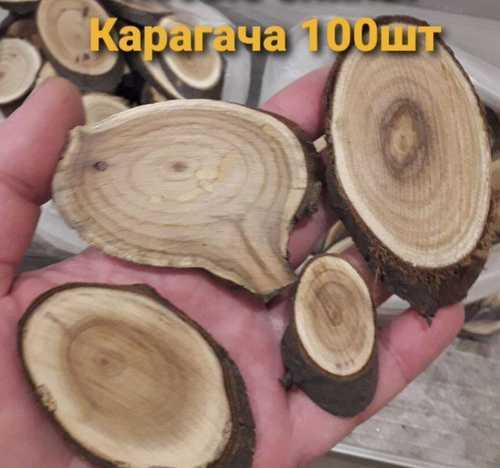 Набор 100шт косые спилы Карагача