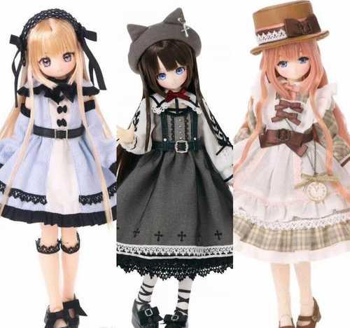 Куклы Азон Azone нрфб Iris collect Mii Rebecca