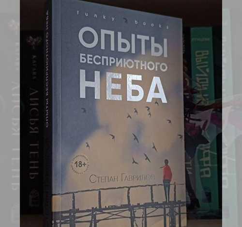 Книга "Опыты бесприютного неба" Степан Гаврилов