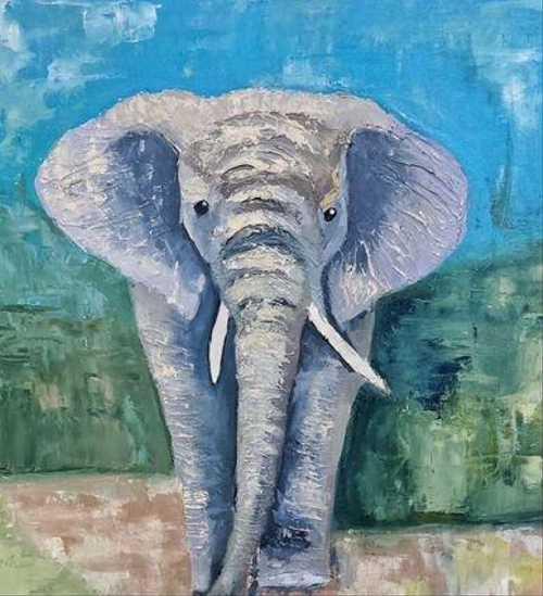 Объемная картина "Слон" 50*60 см