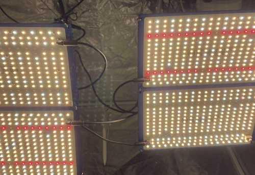 Led лампа quantum board qkwin 480w