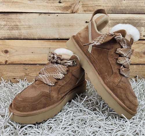 Угги Ugg Lowmel Sneaker Chestnut женские оригинал